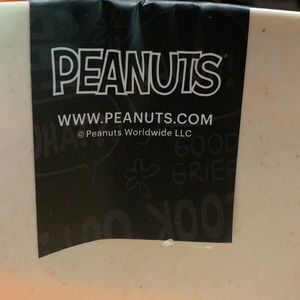 Peanuts | Dining | Peanuts Bamboo Plastic Halloween Themed Picnic Set ...